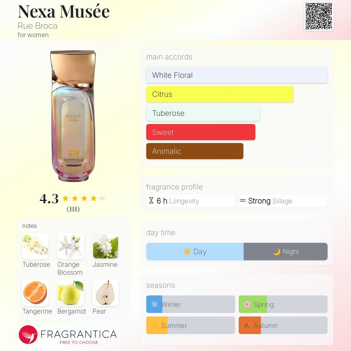 Nexa Musée Rue Broca for women 100ml – Shop Forever